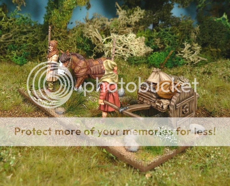 [TMP] "Baggage and Pack Horses" Topic